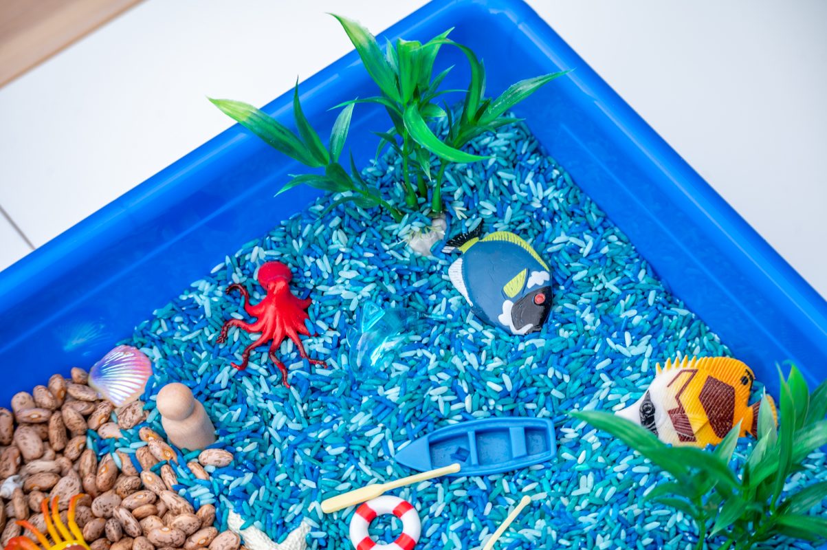 Ocean Sensory Bin - Sensory-N-Stuff