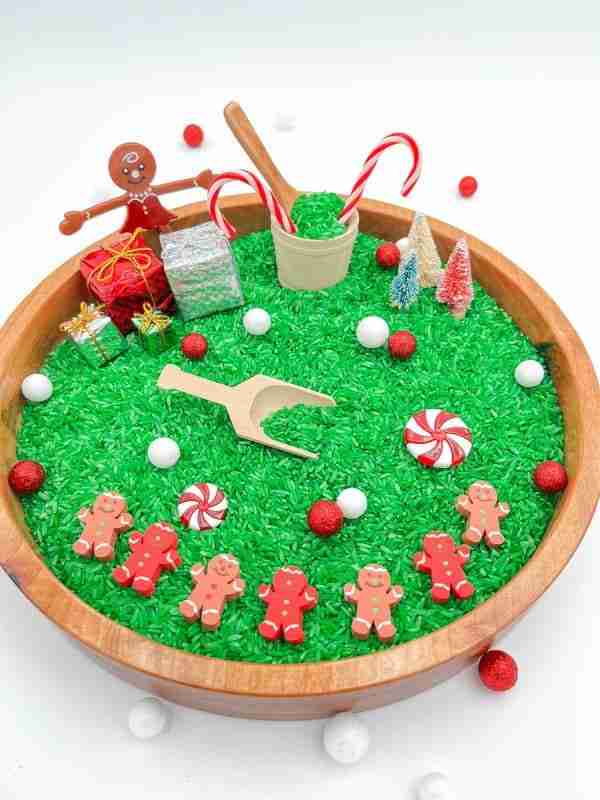 Gingerbread Sensory Bin | Sensory-N-Stuff