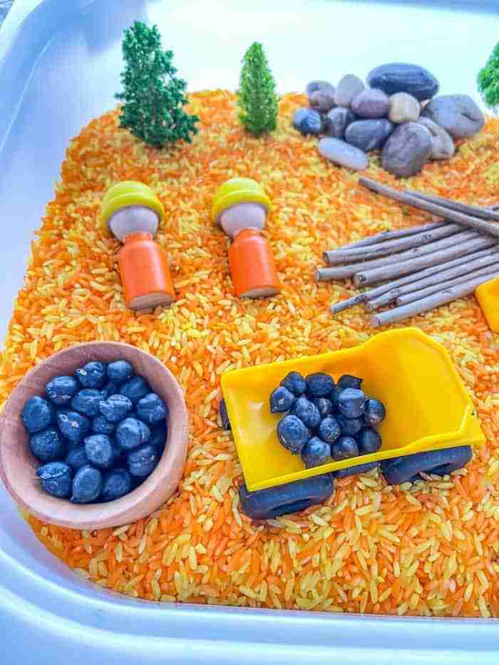 Construction Site Sensory Bin | Sensory-N-Stuff