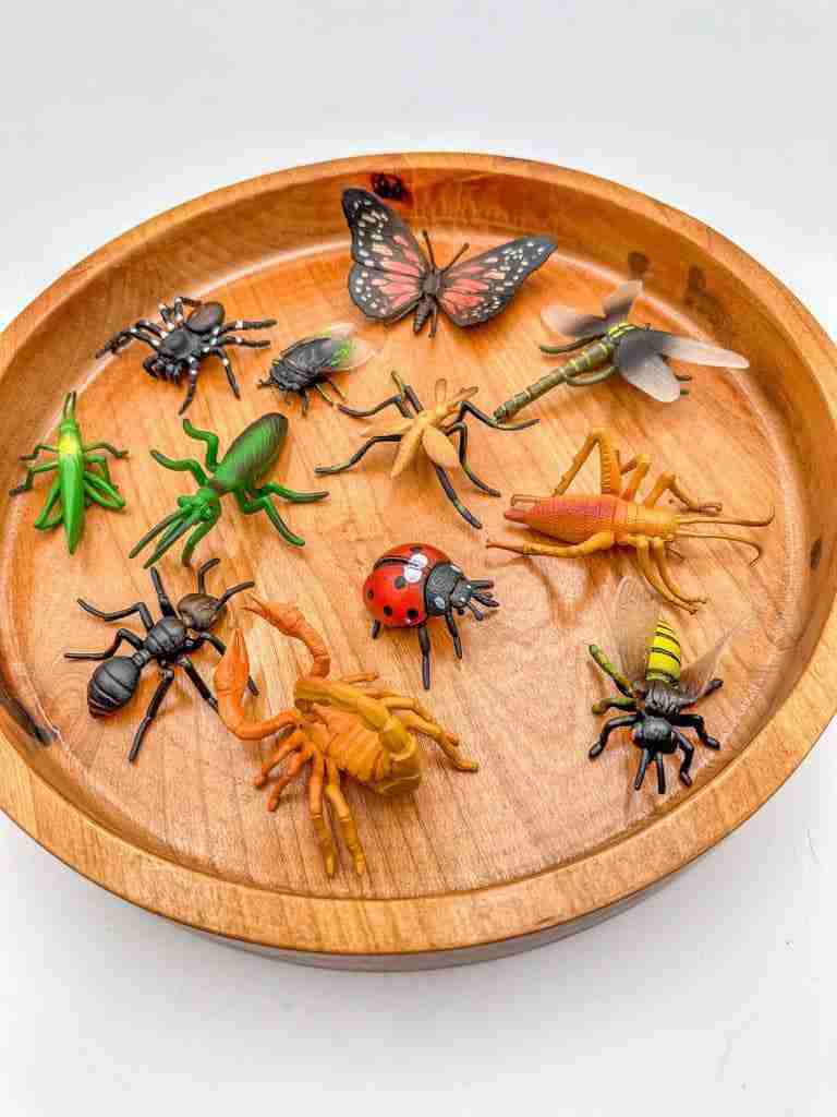 Insect Sensory Bin | Sensory-N-Stuff