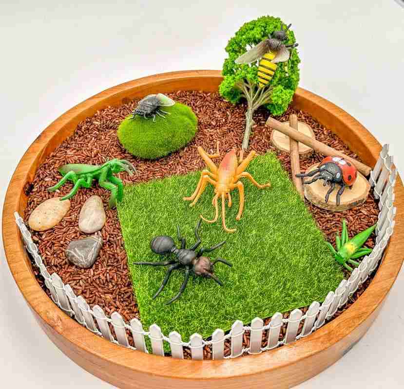 Insect Sensory Bin – Sensory-N-Stuff