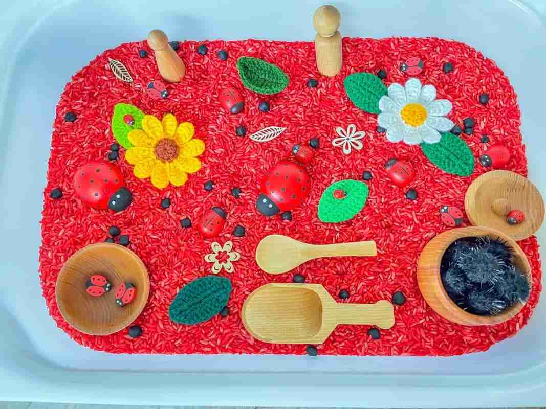Ladybug Sensory Bin - Sensory-N-Stuff