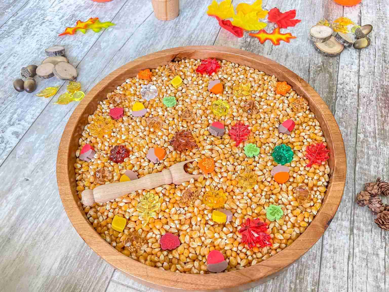 Fall Sensory Bin - Small | Sensory-N-Stuff