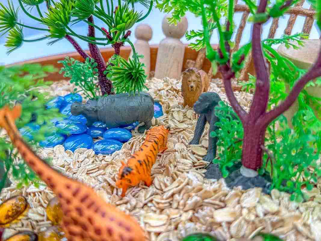 Zoo Sensory Bin | Sensory-N-Stuff