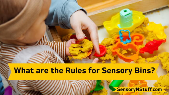 Top 4 Sensory Bin Rules | Sensory-N-Stuff