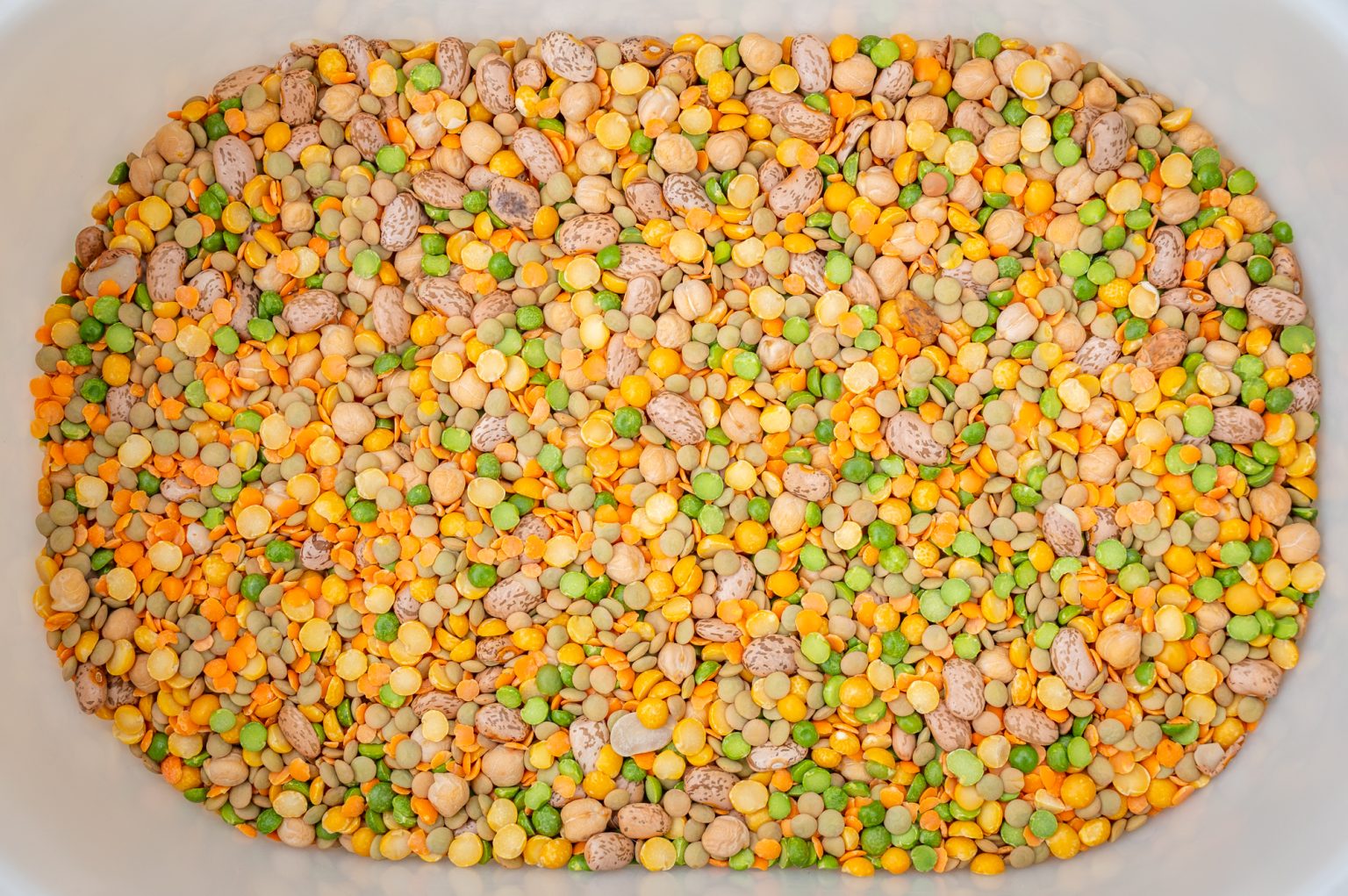 All Natural Fall Filler w/ Peas | Sensory-N-Stuff